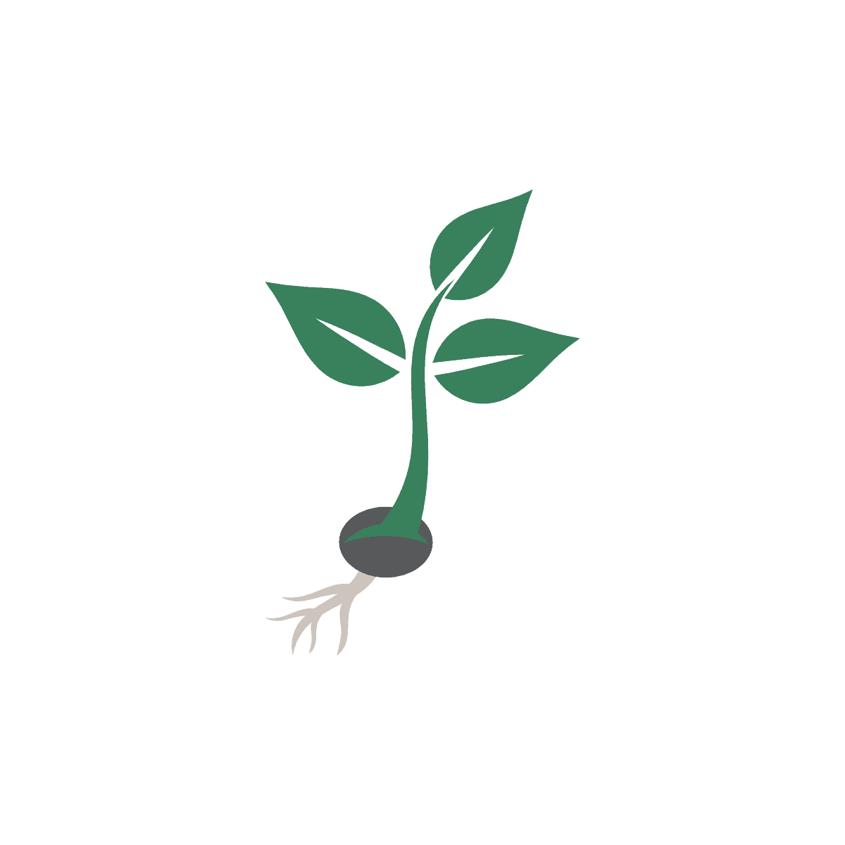 Taproot level plan: Couch-to-Camp 2020 | Do Better Collective